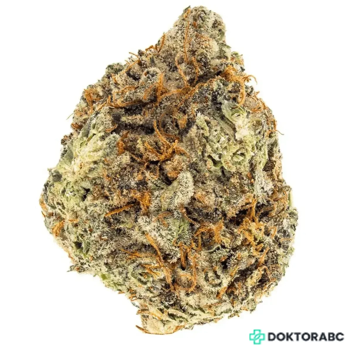 Kaufen Sie Wellford Aquaponic 26/1 ATG Atlantic Glue GG4 – Online ...